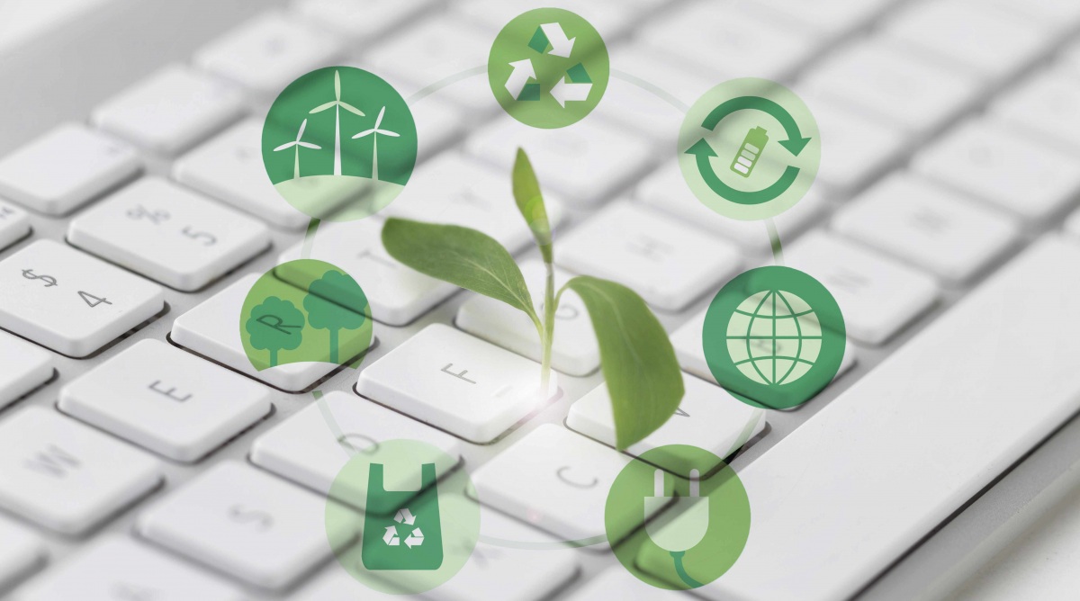 Logística Verde: 6 ejemplos para empresas